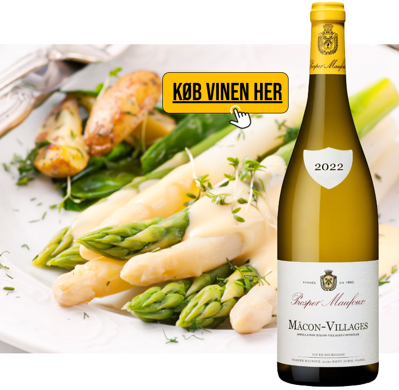 Find den perfekte vin til asparges